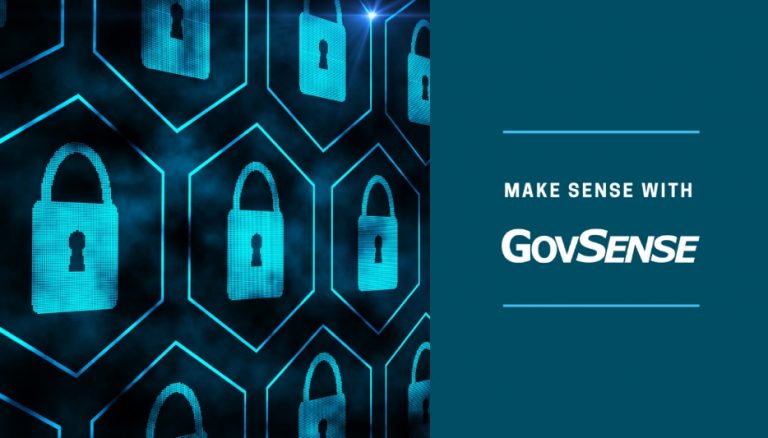 Make Sense with GovSense - GovSense